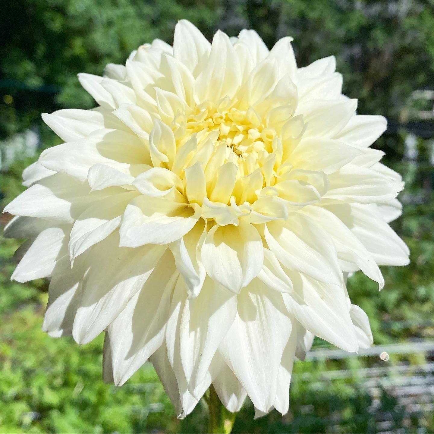Our Story — Restoring Eden Flowers