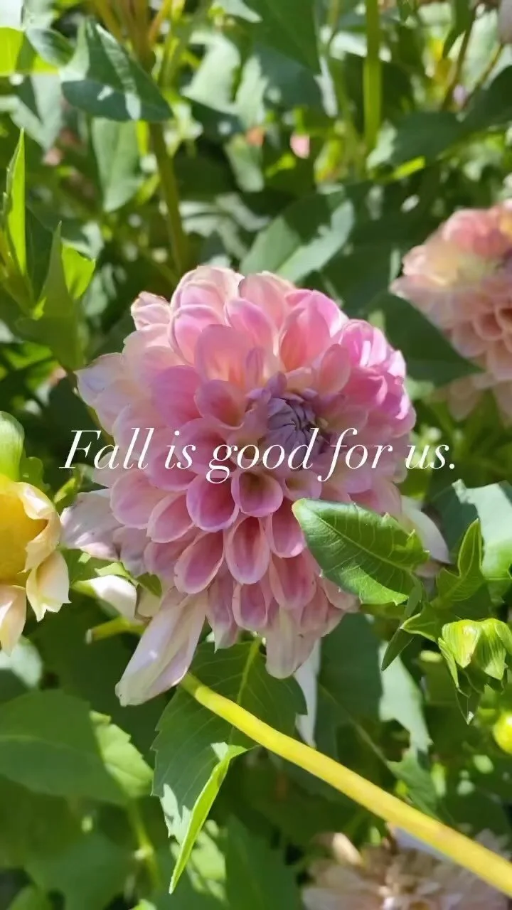 Restoring Eden Flowers