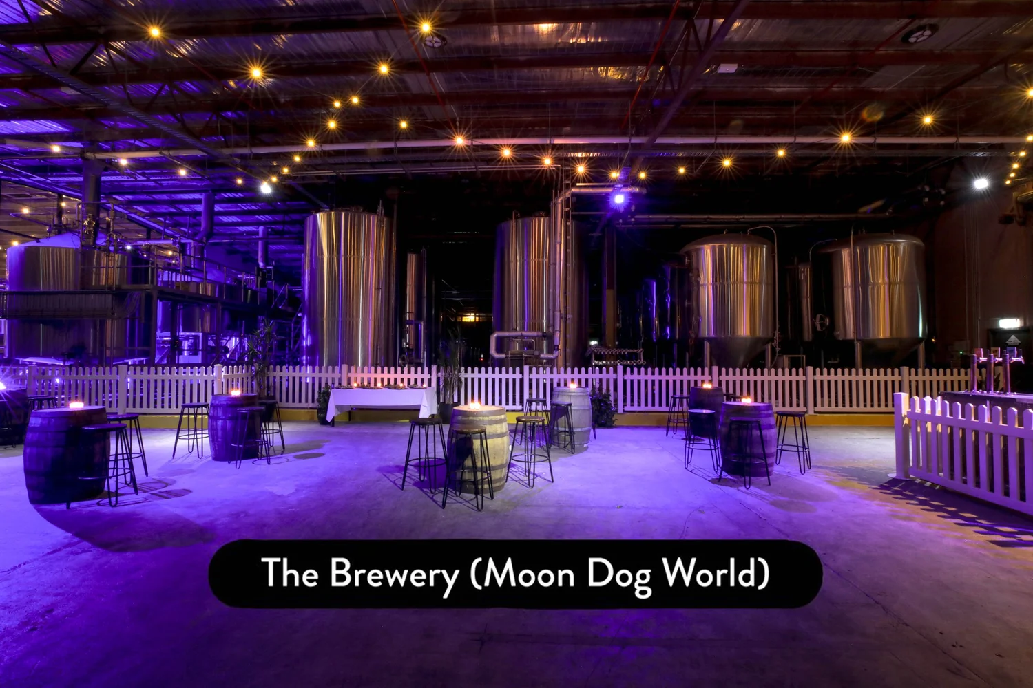Functions — Moon Dog Craft Brewery