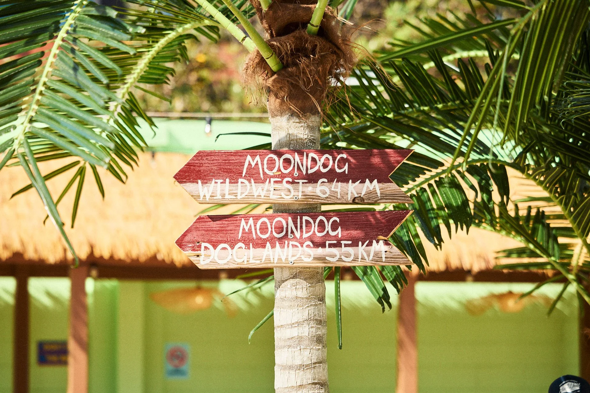 Beach Club Functions — Moon Dog Craft Brewery