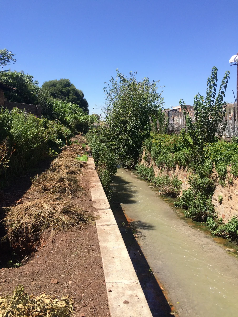 Water for the Future