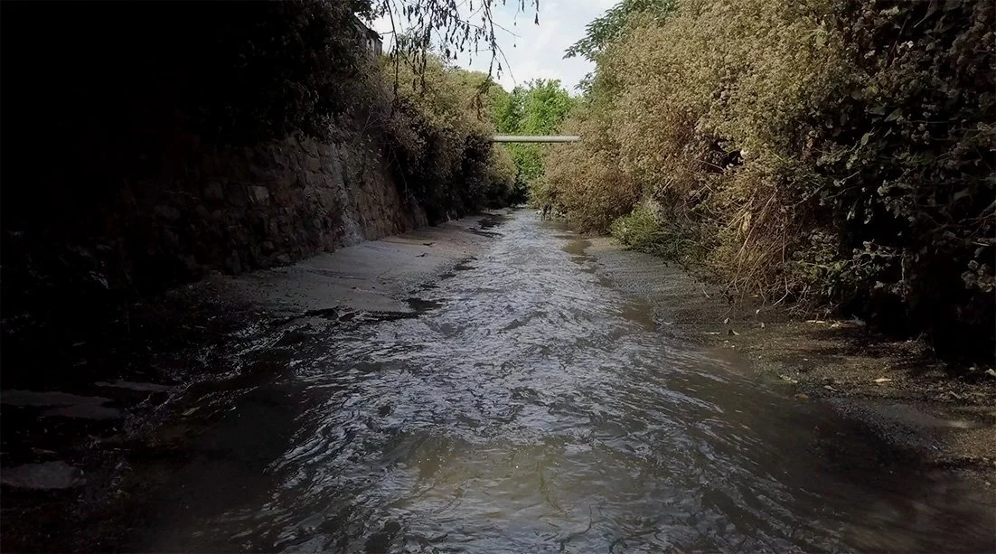 Ecology — Water for the Future
