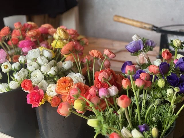 Flower club memberships are weekly or bi-weekly bouquet subscriptions ...