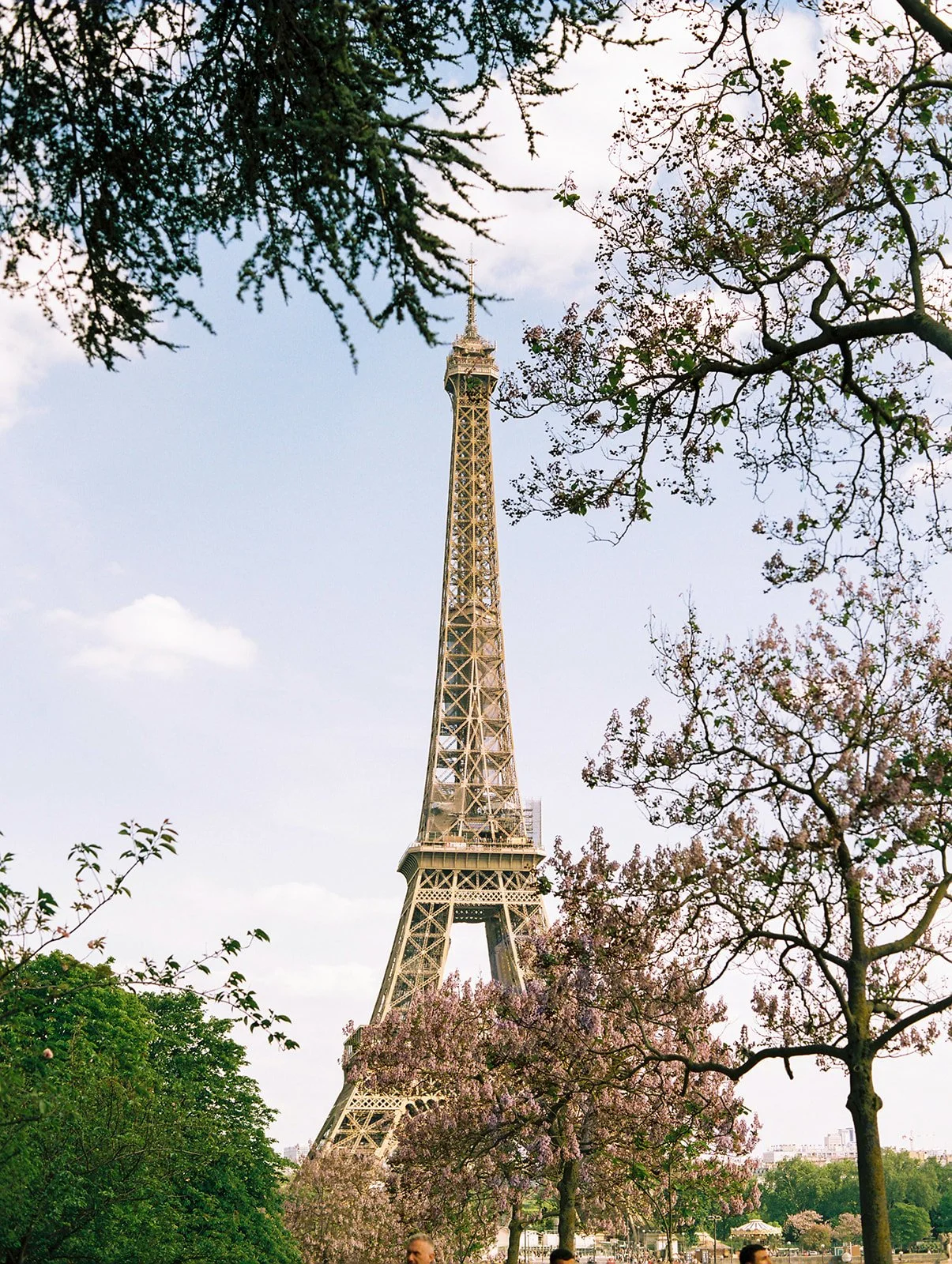 A Majestic Parisian Wedding — Sotiris Tsakanikas