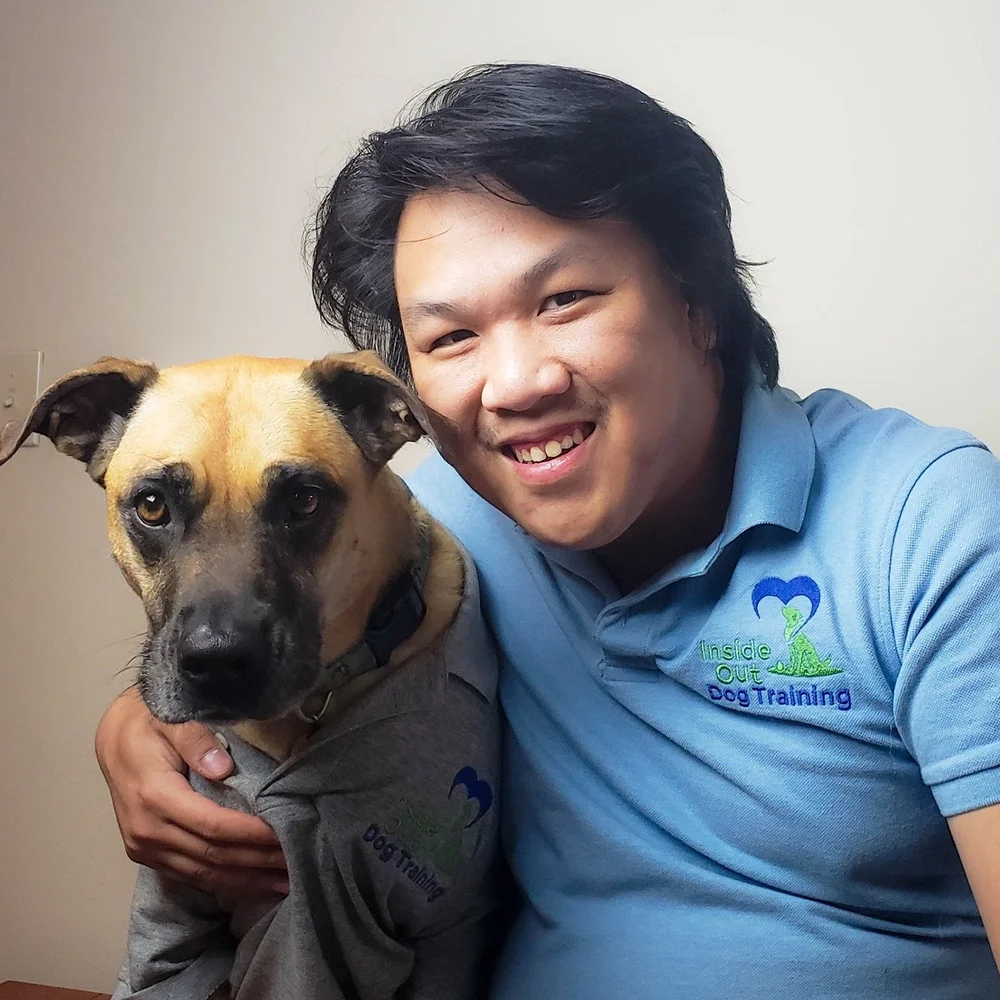 Inside Out Dog Daycare, Boarding, and Training