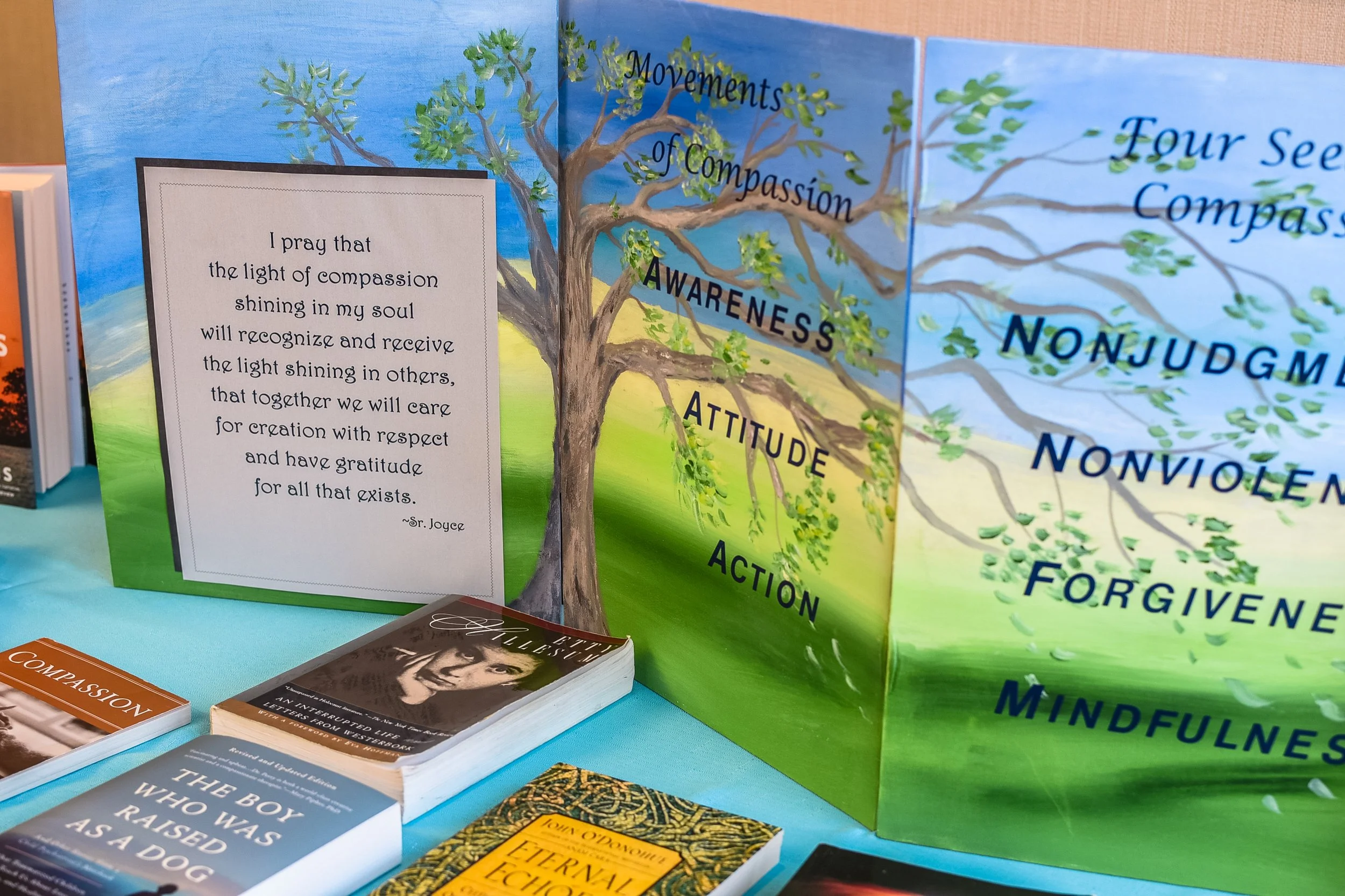 What is Boundless Compassion? — Boundless Compassion