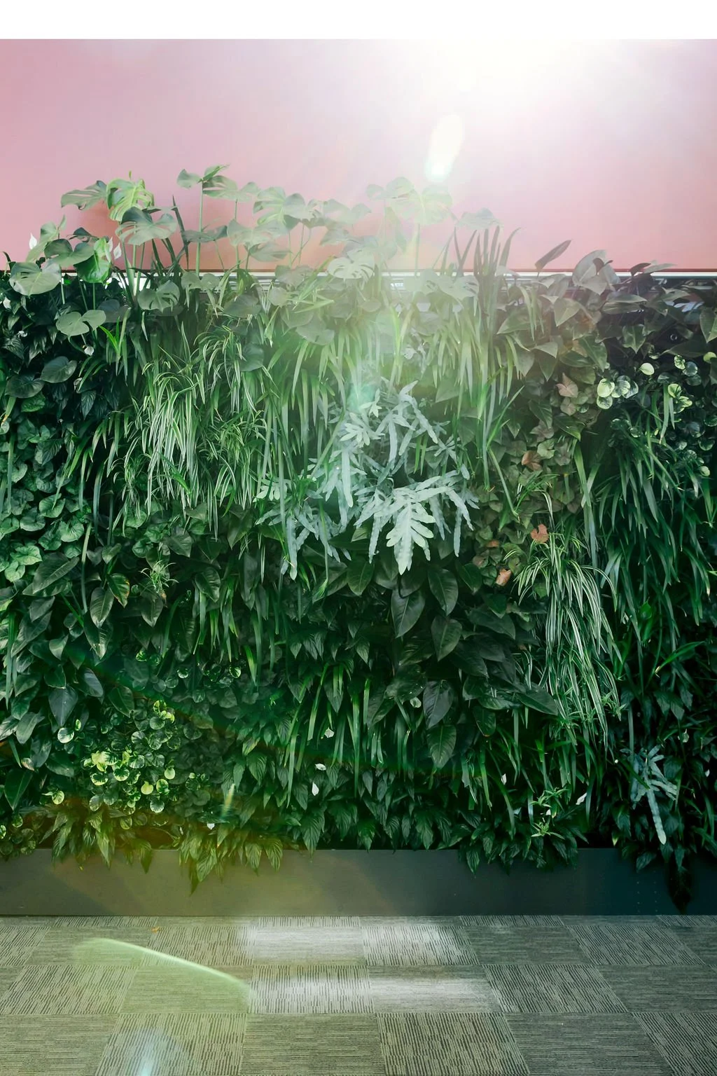 BioActive Green Walls | Architectural Green Wall Systems