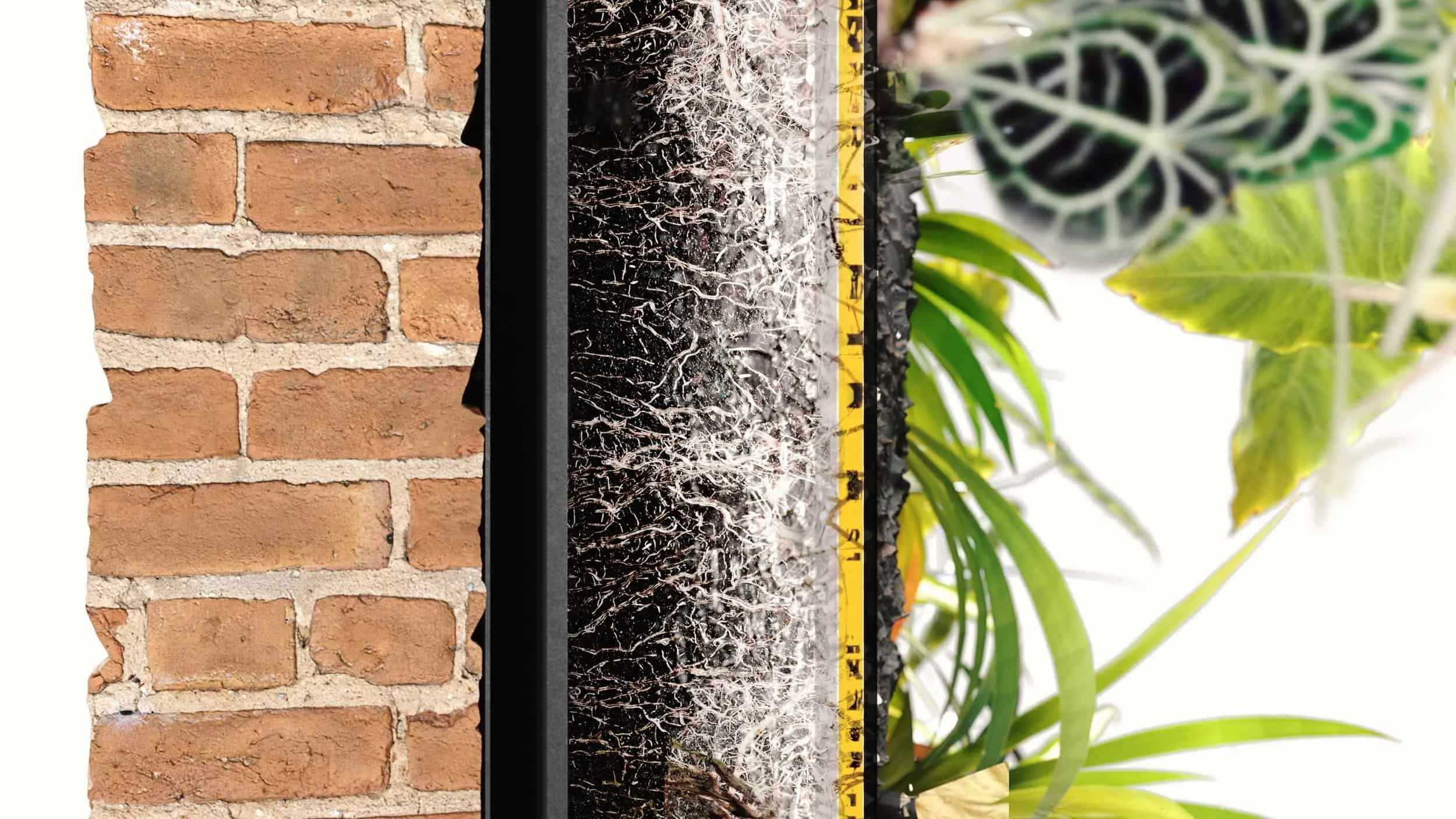 BioActive Green Walls | Architectural Green Wall Systems