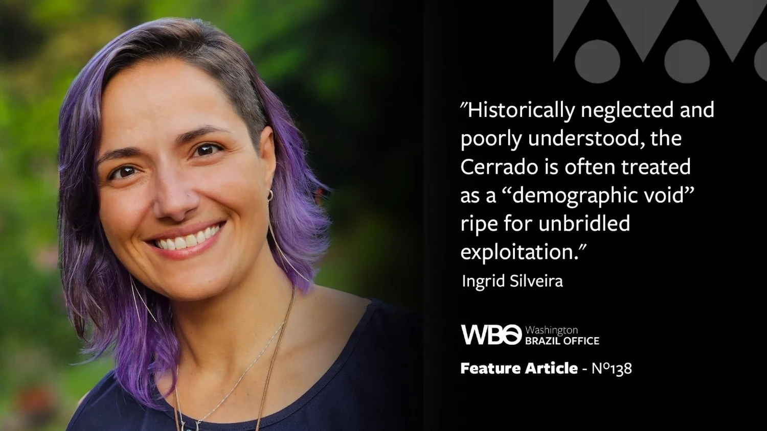 Cerrado: The Invisible Biome, Heart of the Waters and Guardian of Life ...