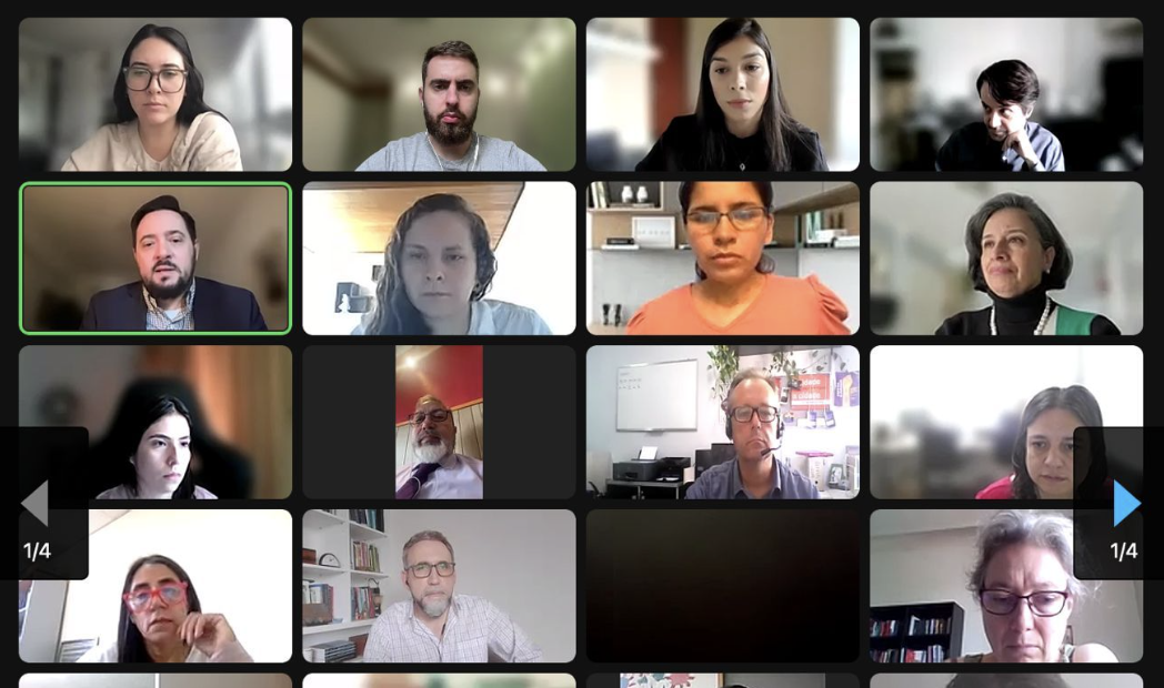 WBO takes suggestions and proposals to the new Redesca-CIDH ...