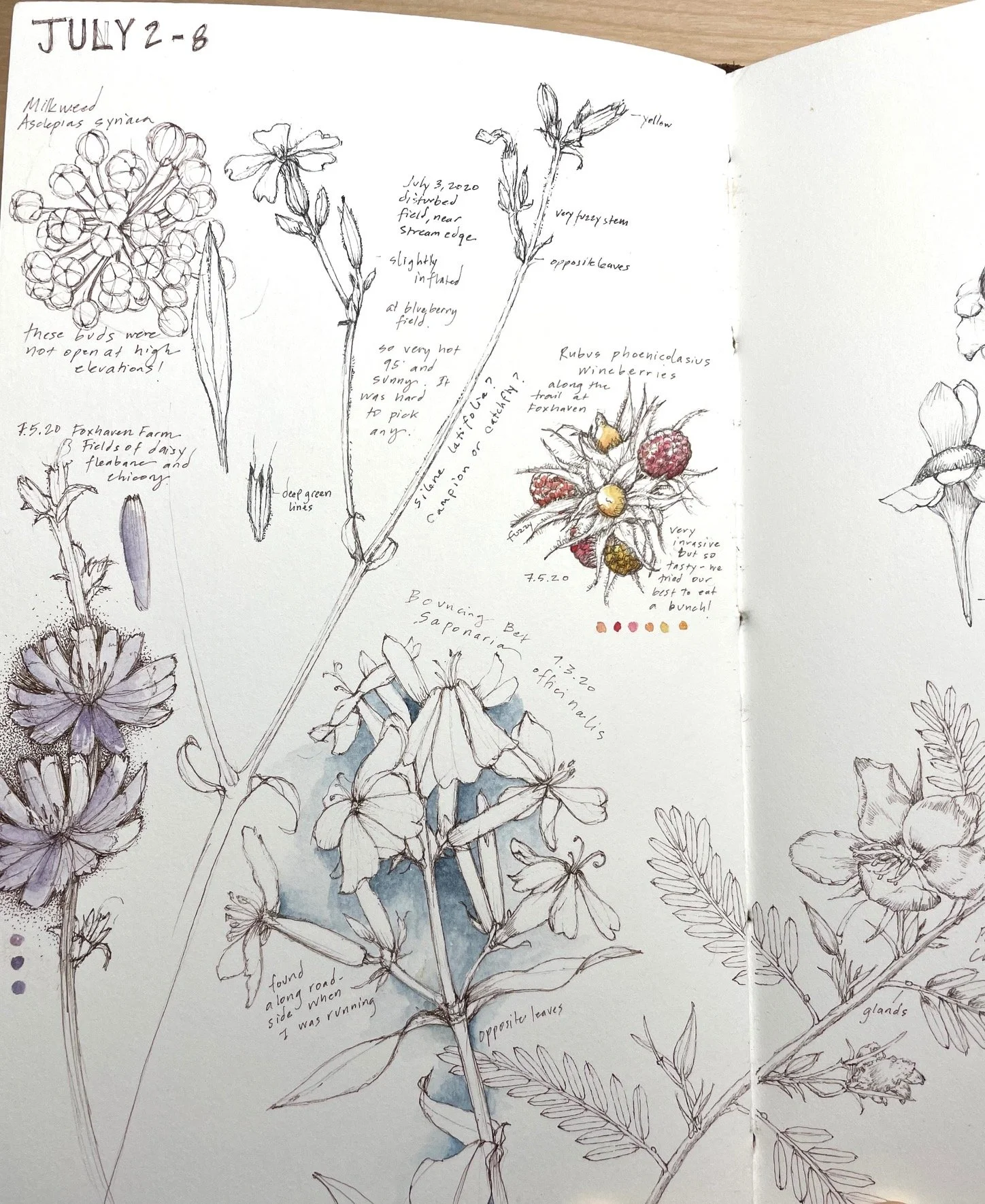 The Perpetual Journal