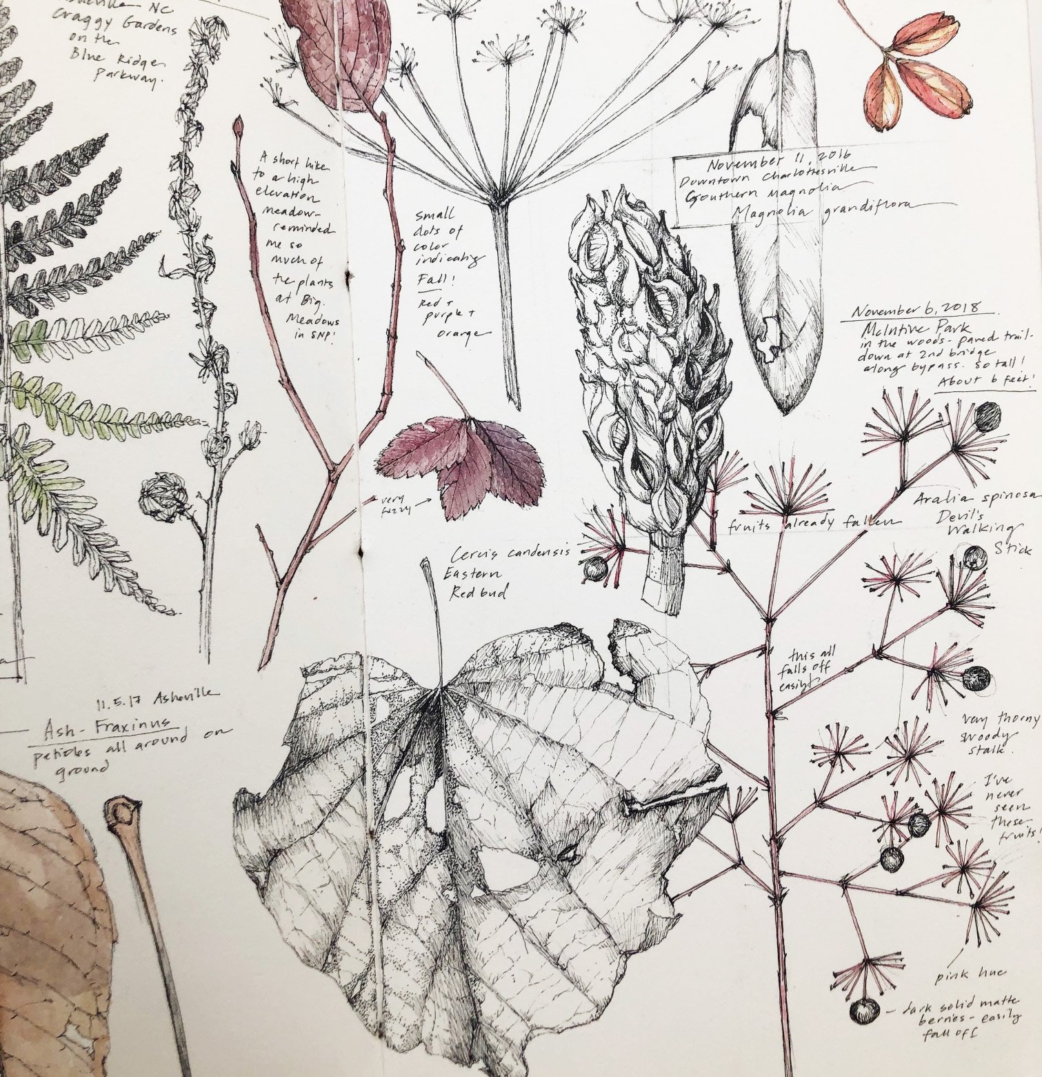 The Perpetual Journal