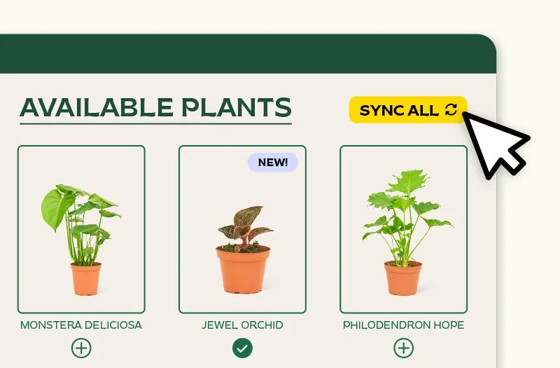 Plantboy