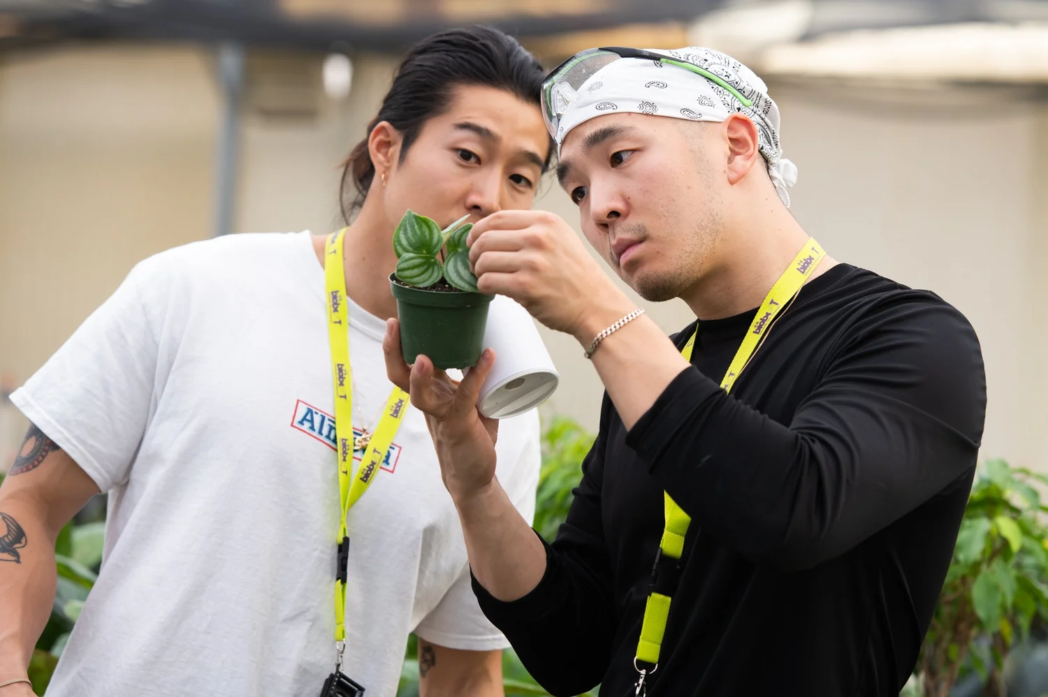 Contact Us — Plantboy Live Plant Dropship