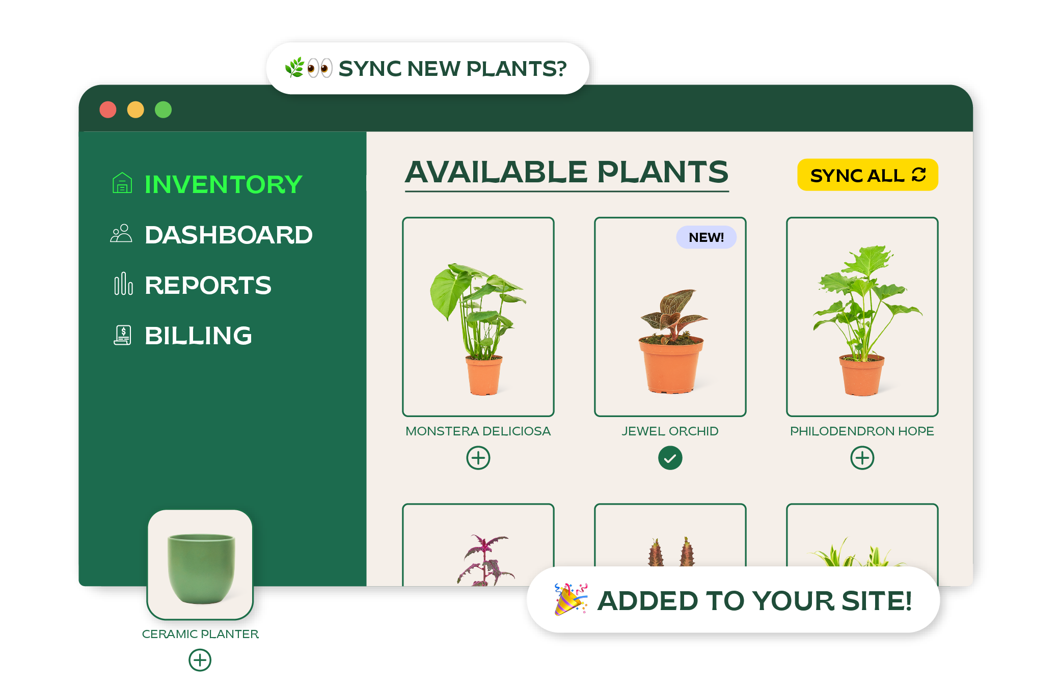 Plantboy