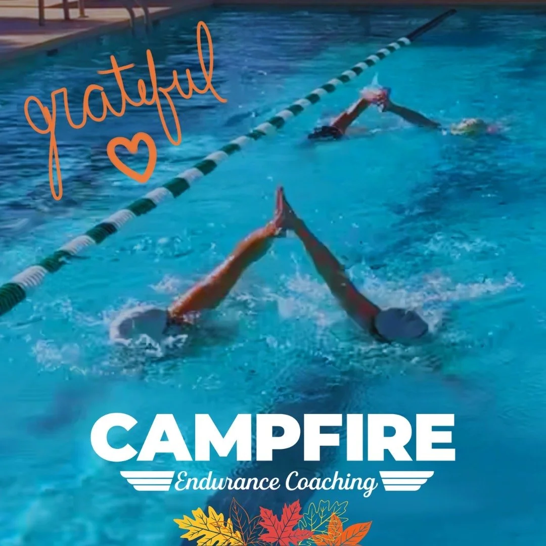 Thanksgiving 10k Swim 2022 — Campfire Endurance Coaching