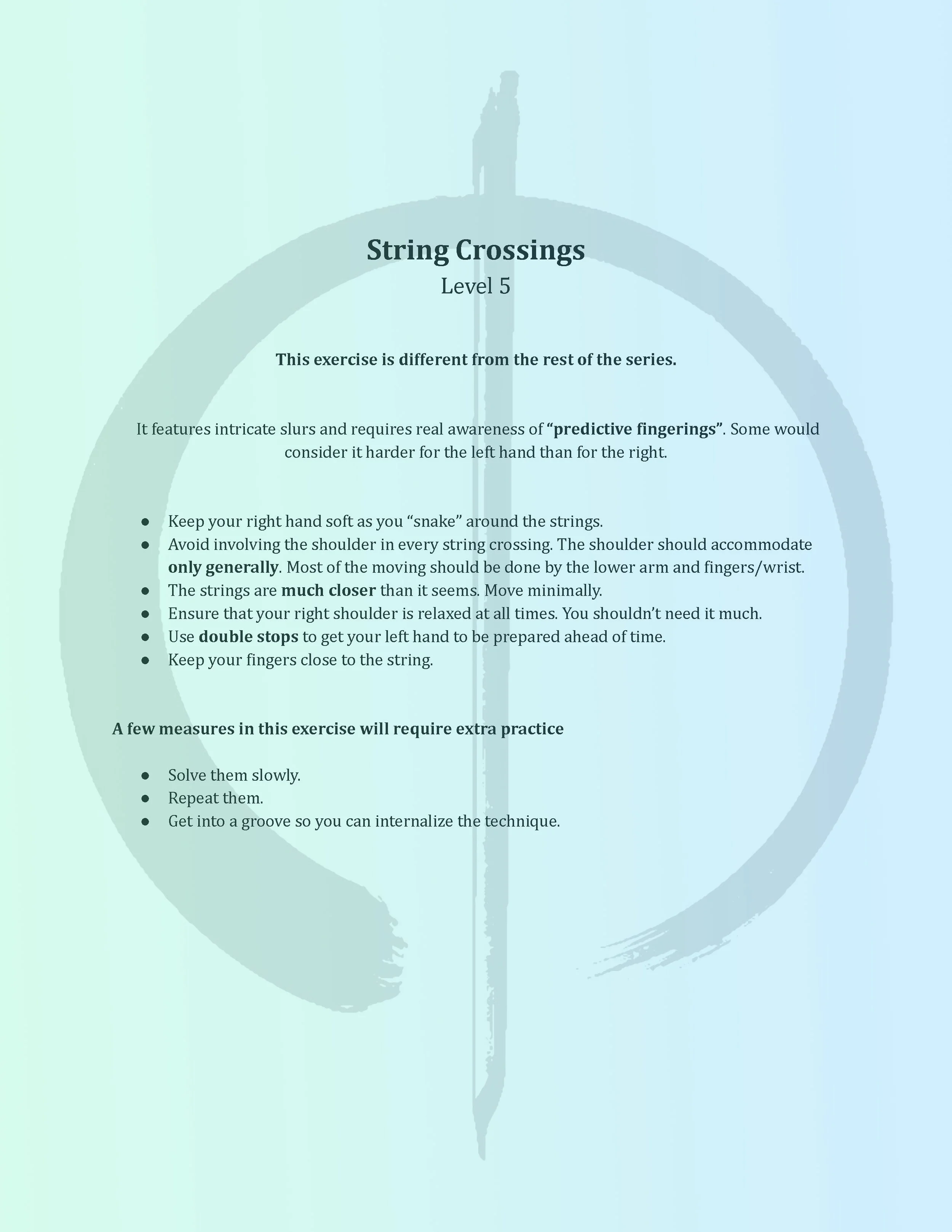 Expert — Ninja — ZEN VIOLIN