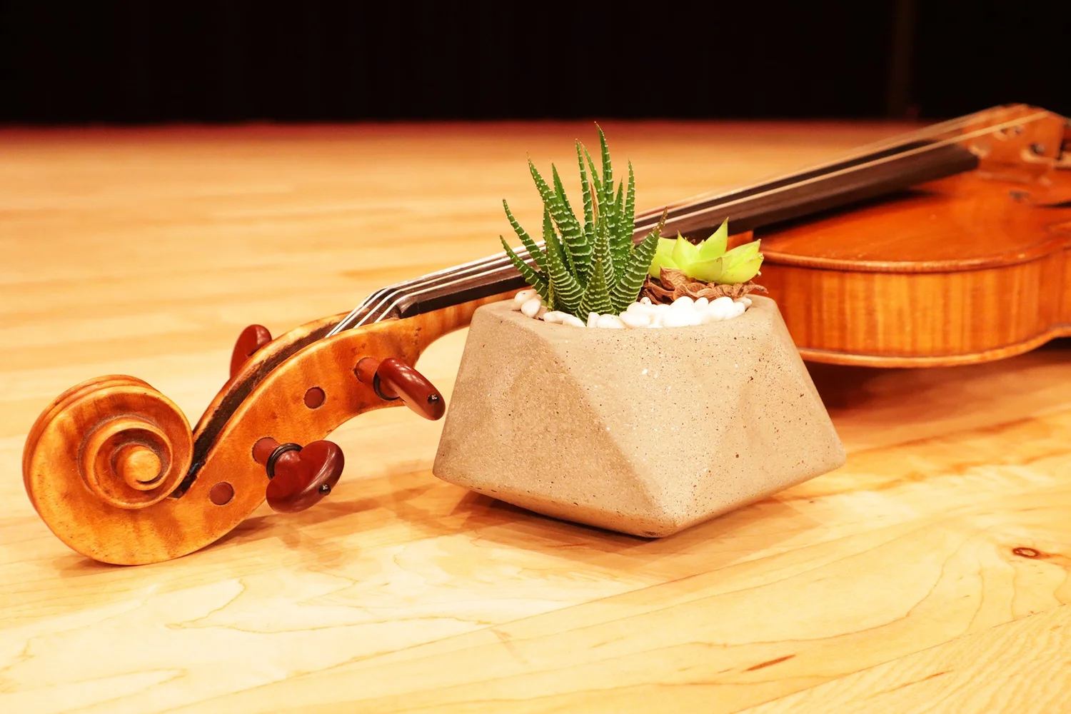 ZEN VIOLIN | Technique Simplified