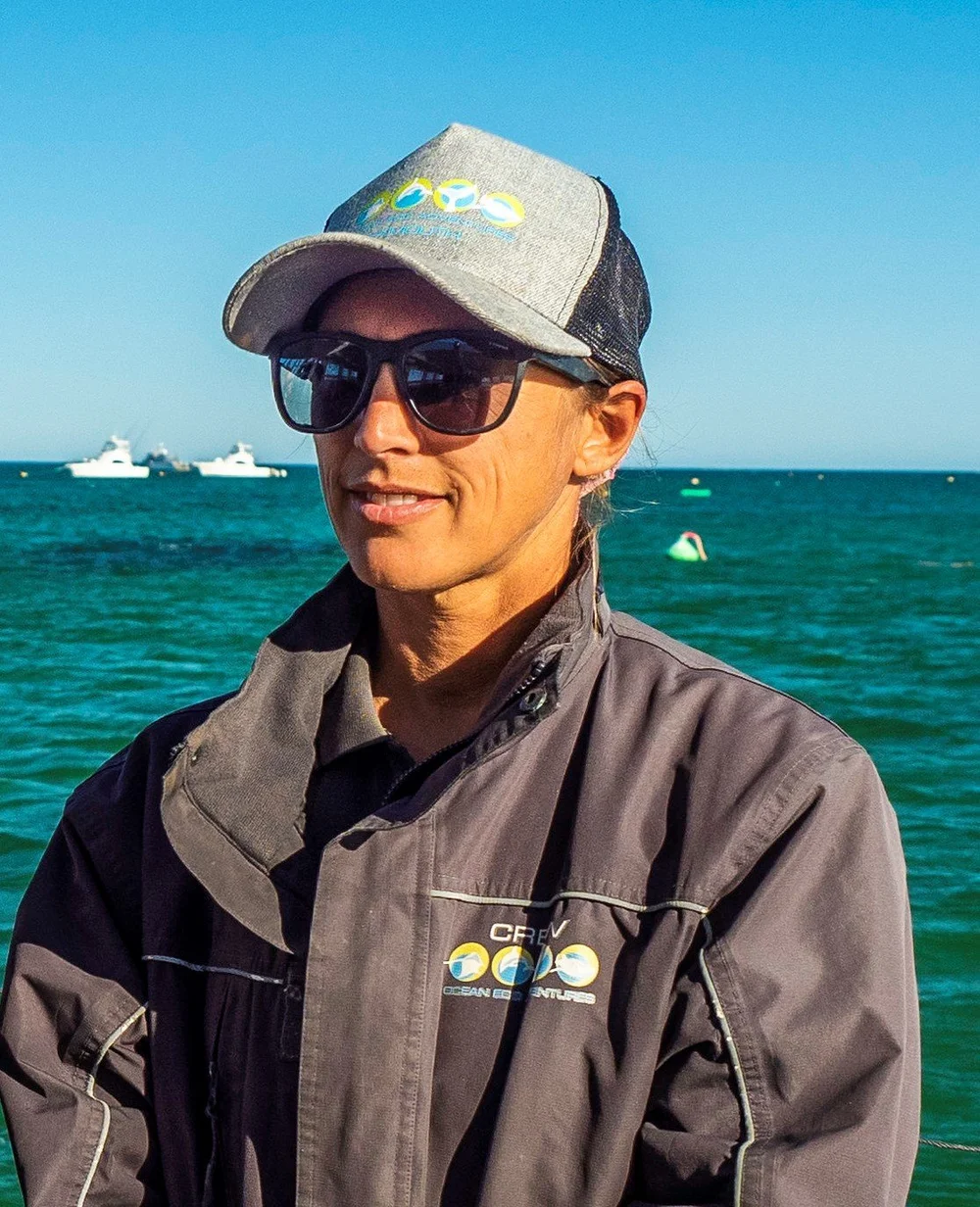 STLS Australia — Spot the Leopard Shark