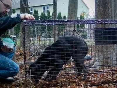 About — Gatekeeper K9 Rescue