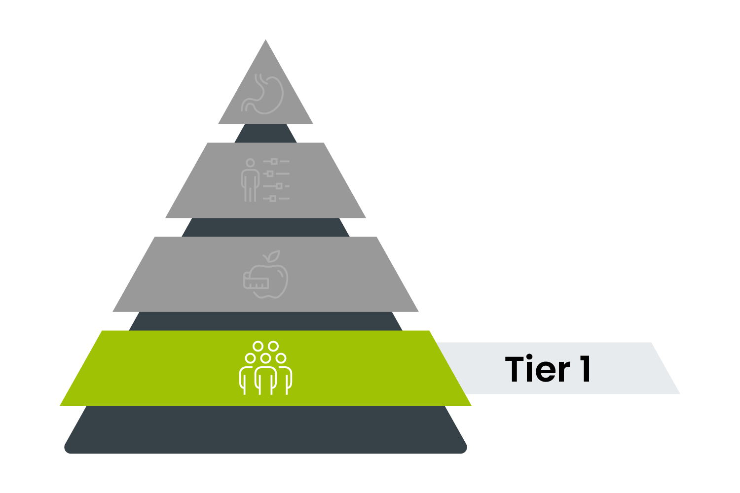 Review service tiers — Weight Management Services