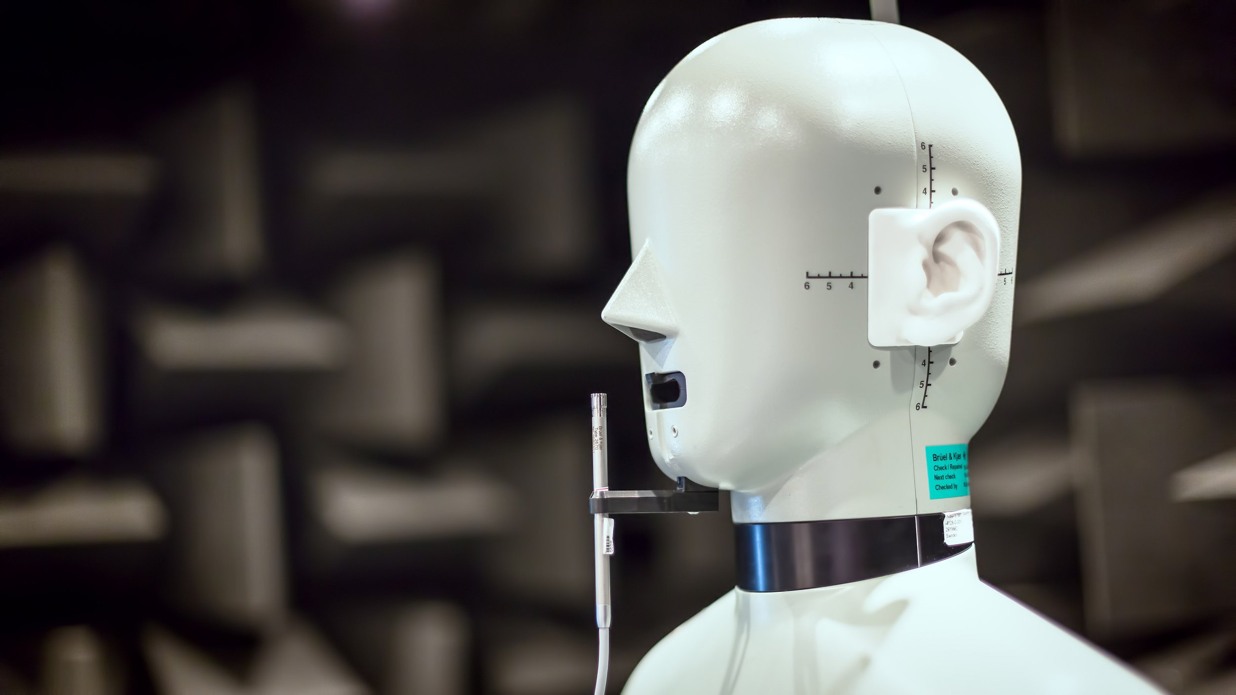 Audio DSP — Sigma Connectivity