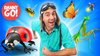 Videos — Danny Go!
