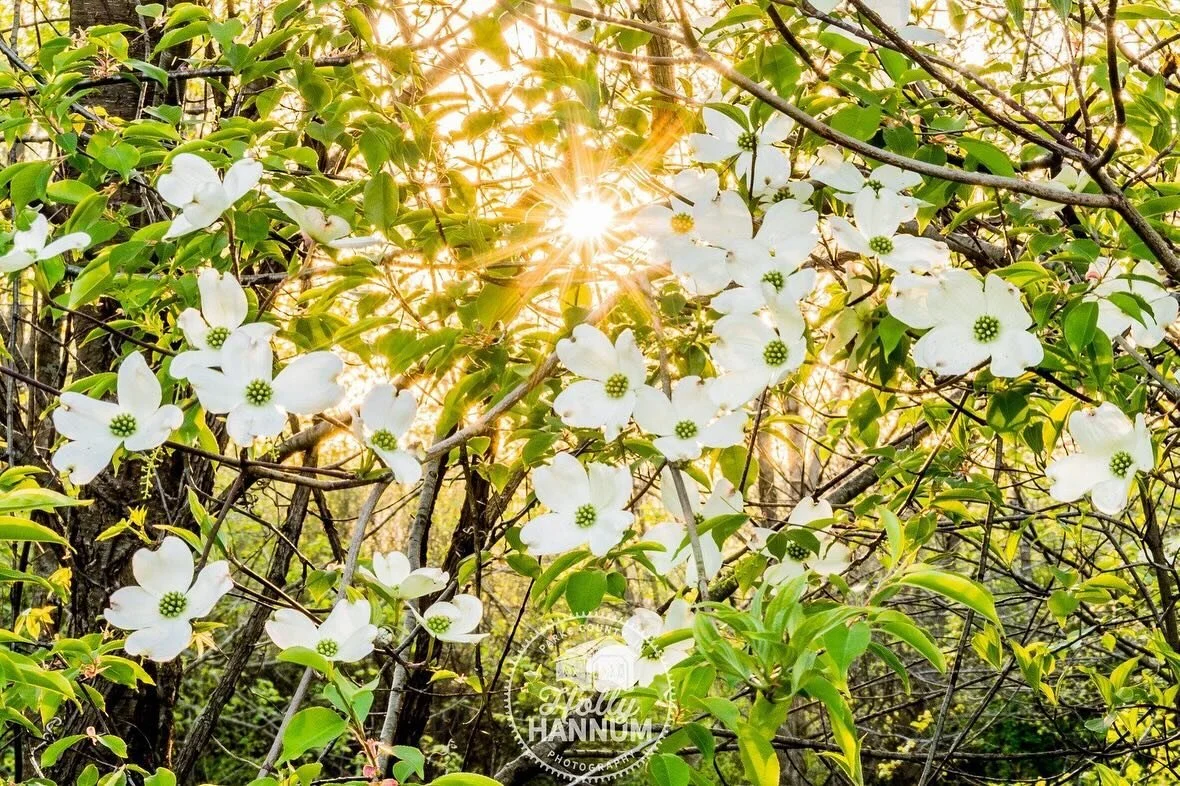 FAQs 2 — Parke County, Indiana