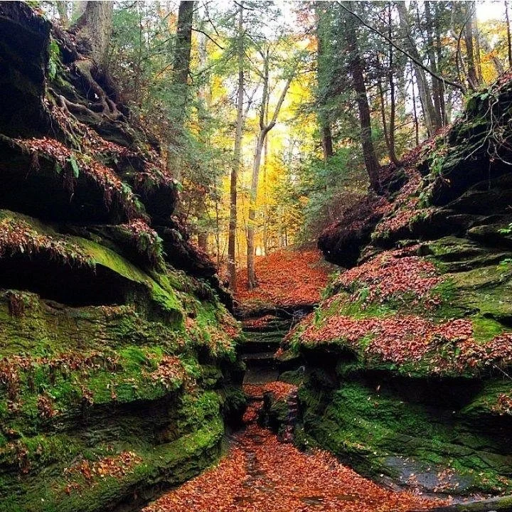 Parke County, Indiana