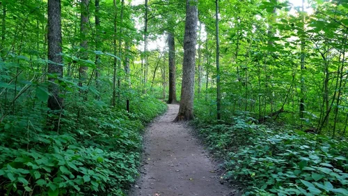 A Complete Guide to Turkey Run Camping and Hiking Trails — Parke County ...
