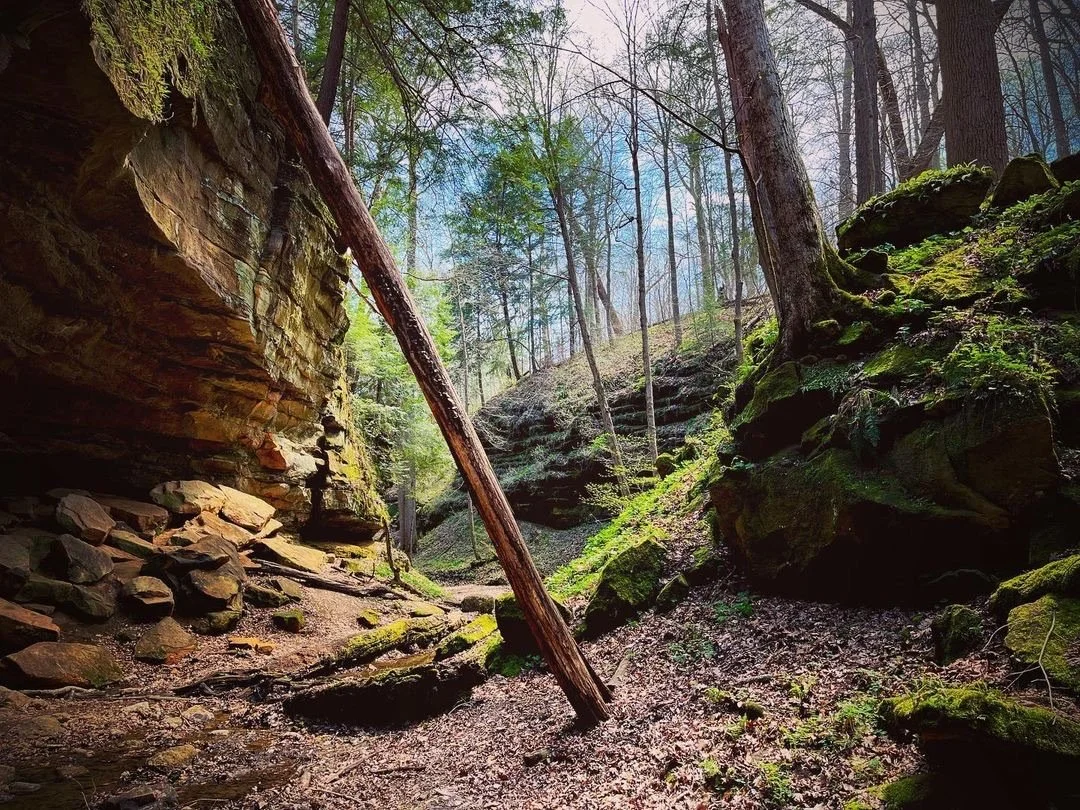 Parke County, Indiana