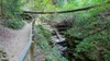 A Complete Guide to Turkey Run Camping and Hiking Trails — Parke County ...