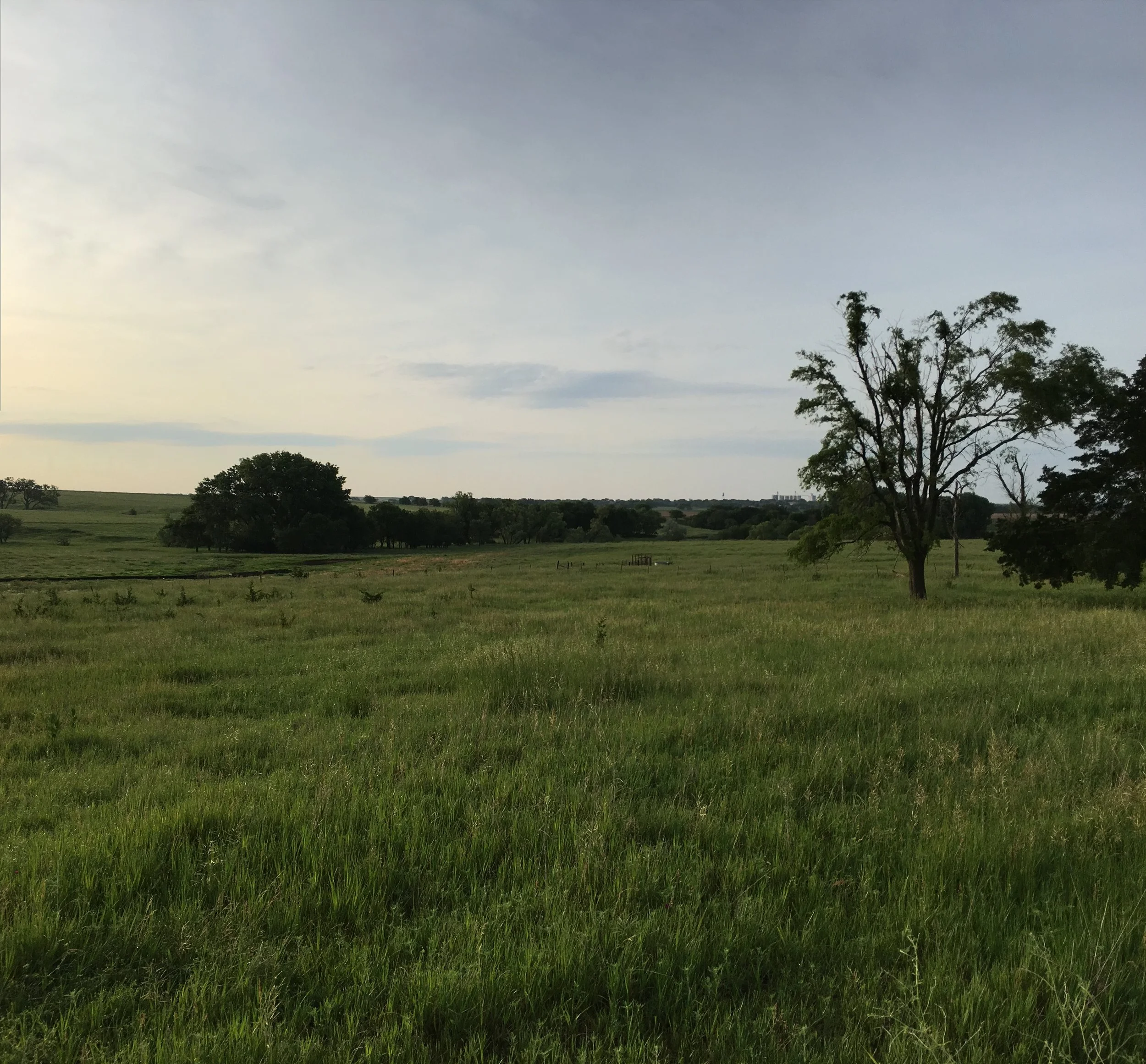 Our Work — Prairie Meadowlark