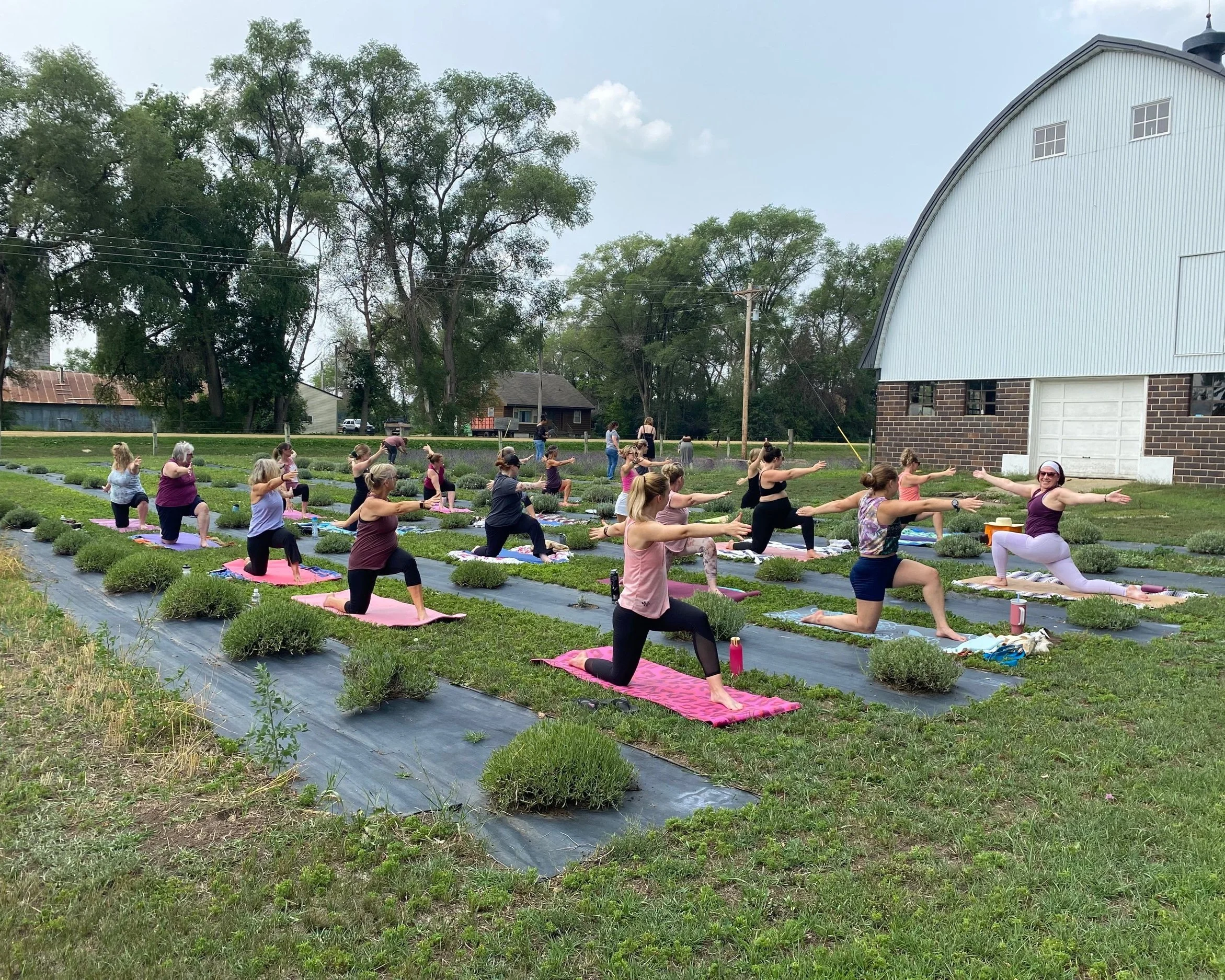 Lavender Yoga — Nourish & Grow Yoga
