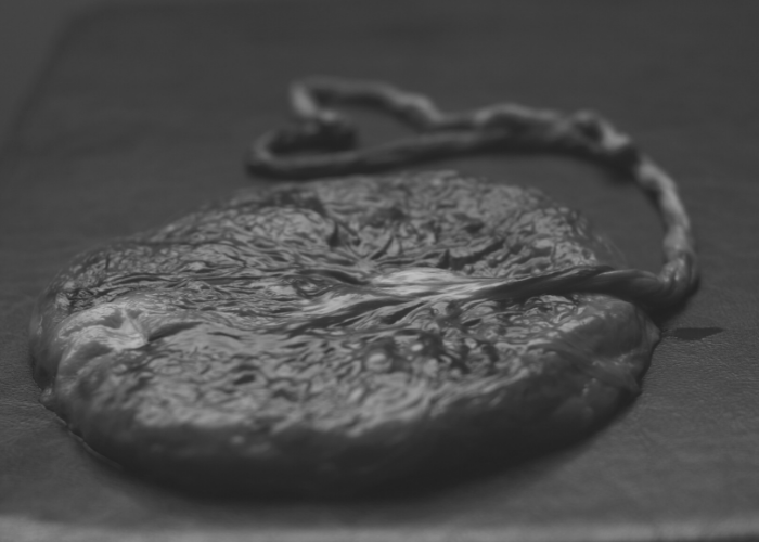 Hands of Grace Birth Services OKC