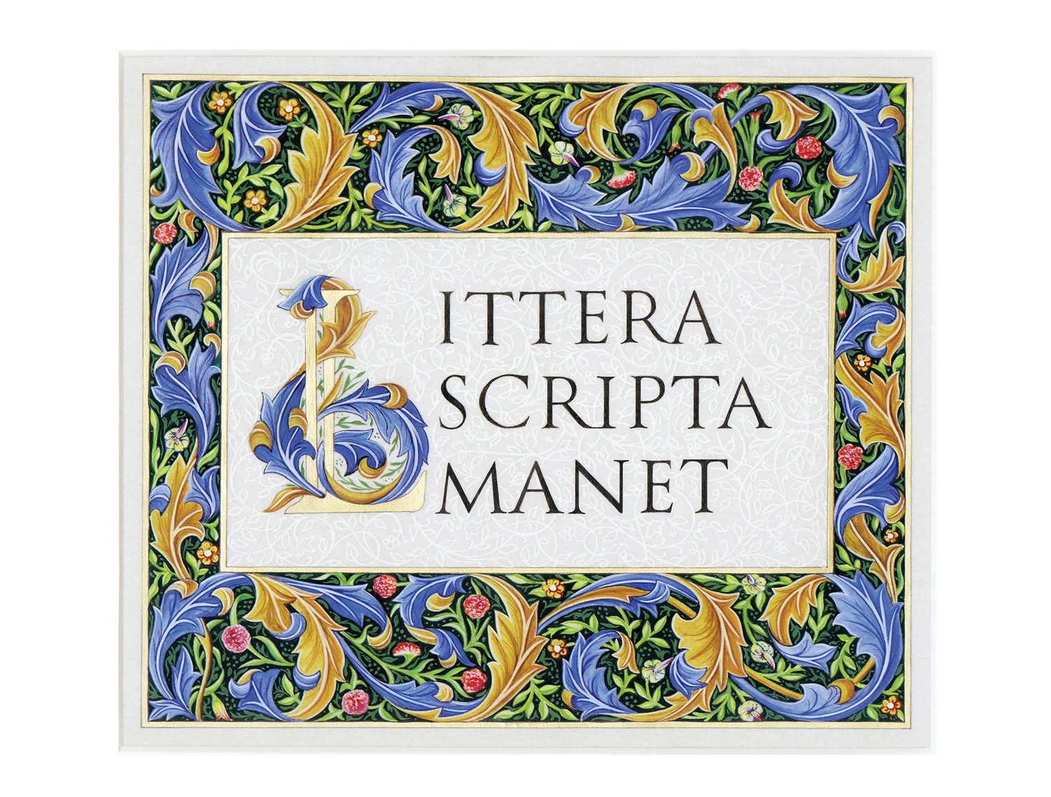 Lettering — svetlanamolodchenko.com