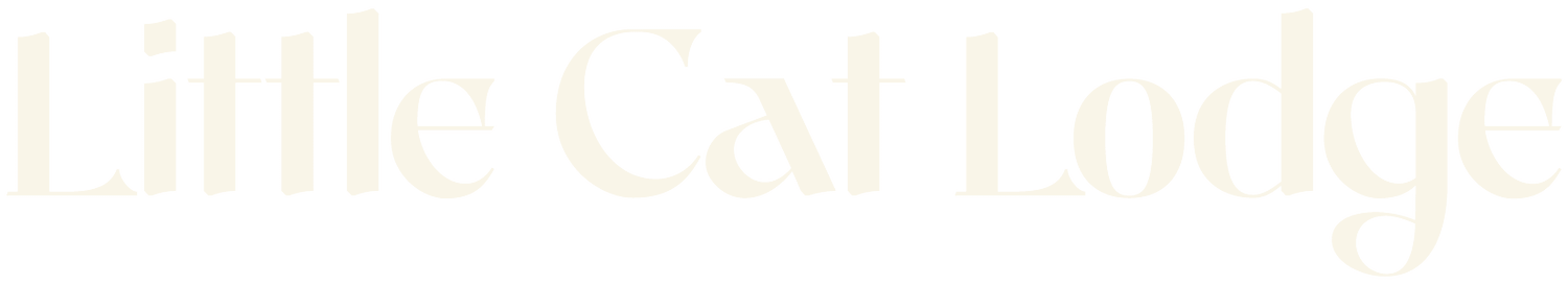 Little Cat Lodge