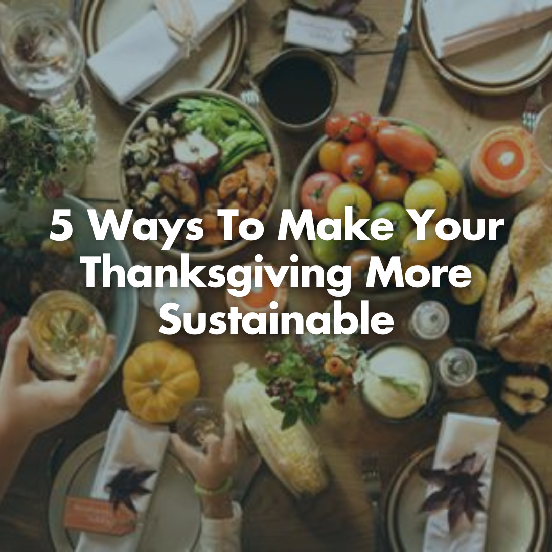 5 Ways To Make Your Thanksgiving More Sustainable — WasteNot Compost