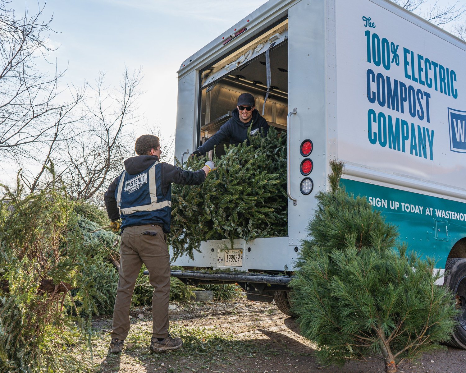 Holiday Tree Collection — WasteNot Compost