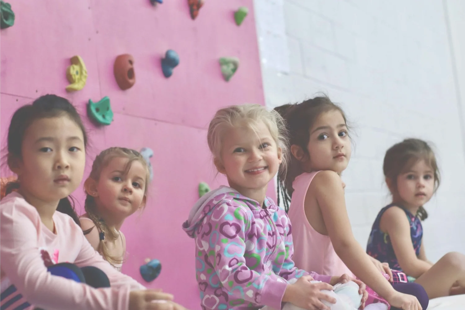 Discovery Gymnastics | Official Website