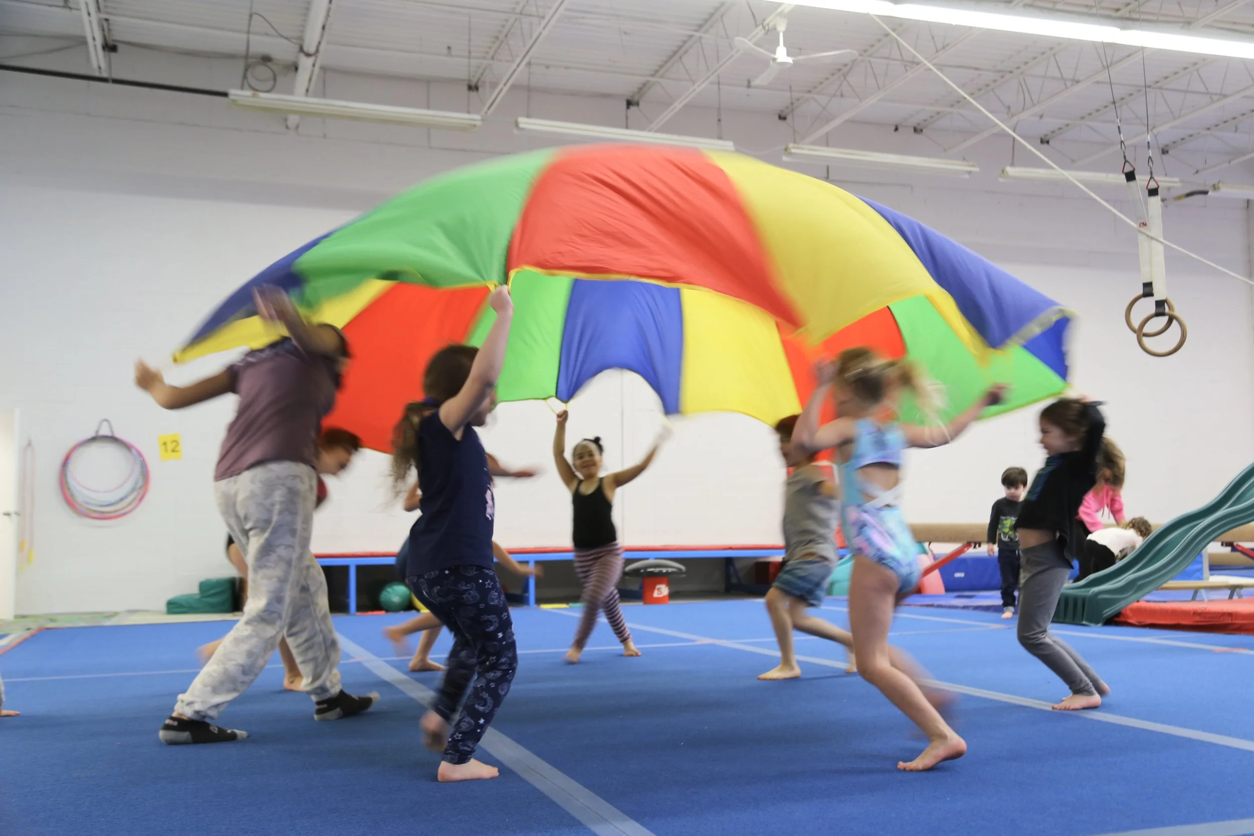 Discovery Gymnastics | Official Website
