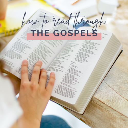 HOW TO READ THROUGH THE GOSPELS THROUGHOUT THE YEAR — Kristen Van Horn ...