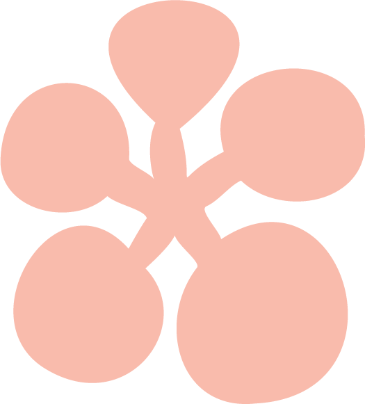 Single Moms' Mindset Development