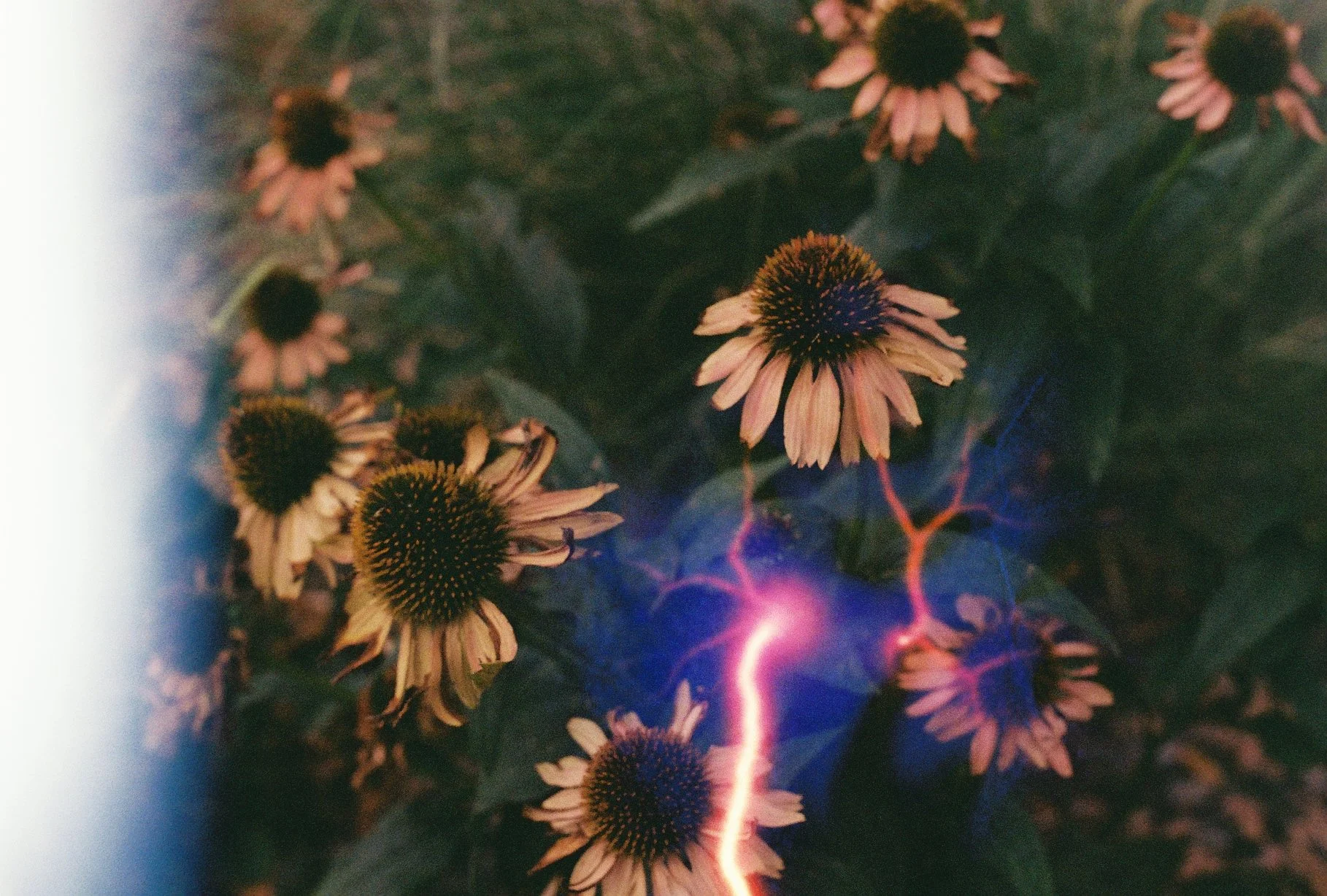 Denver-Based Indie-Rock Band — blankslate