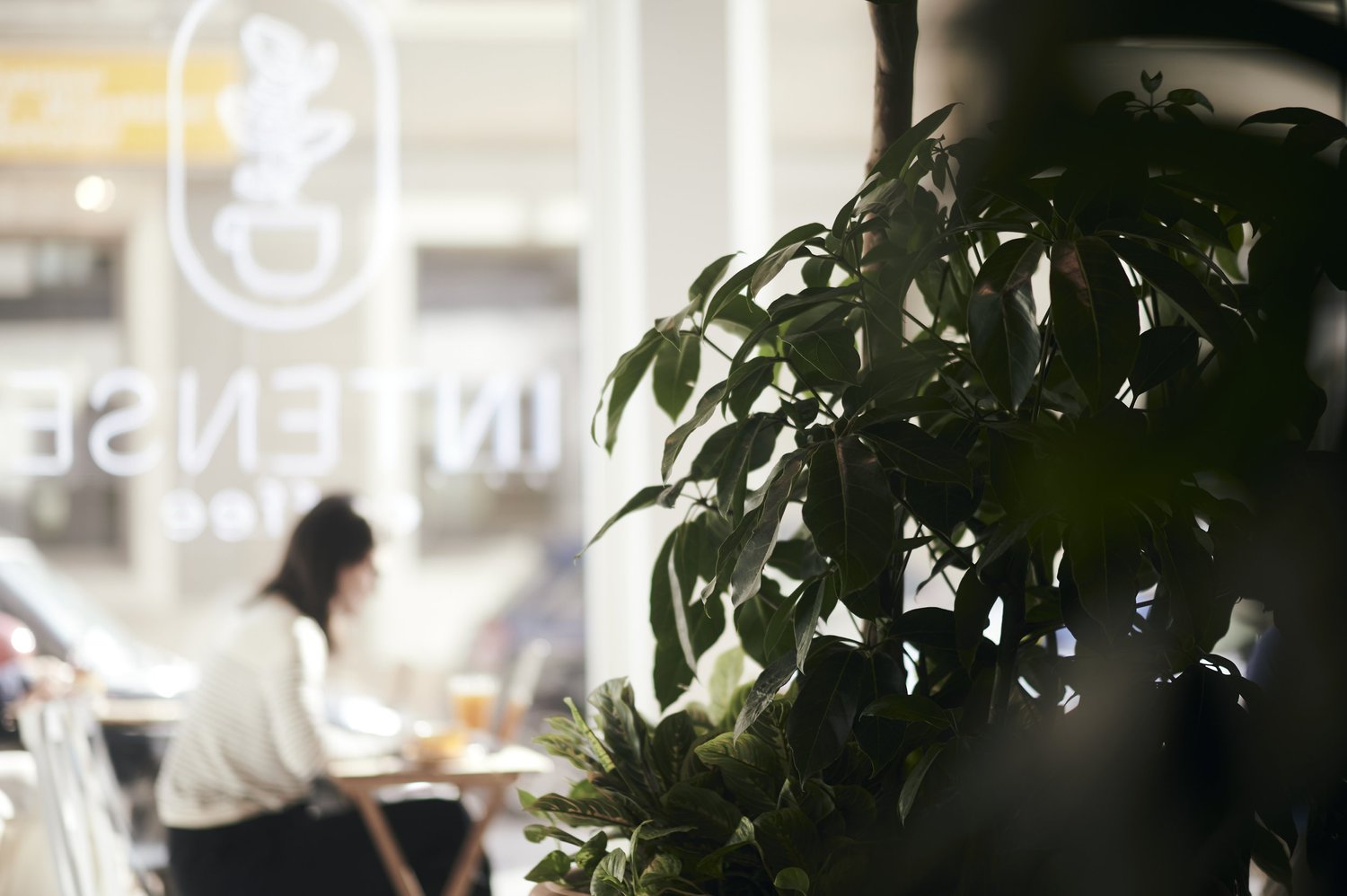 Intense Coffee Luxembourg