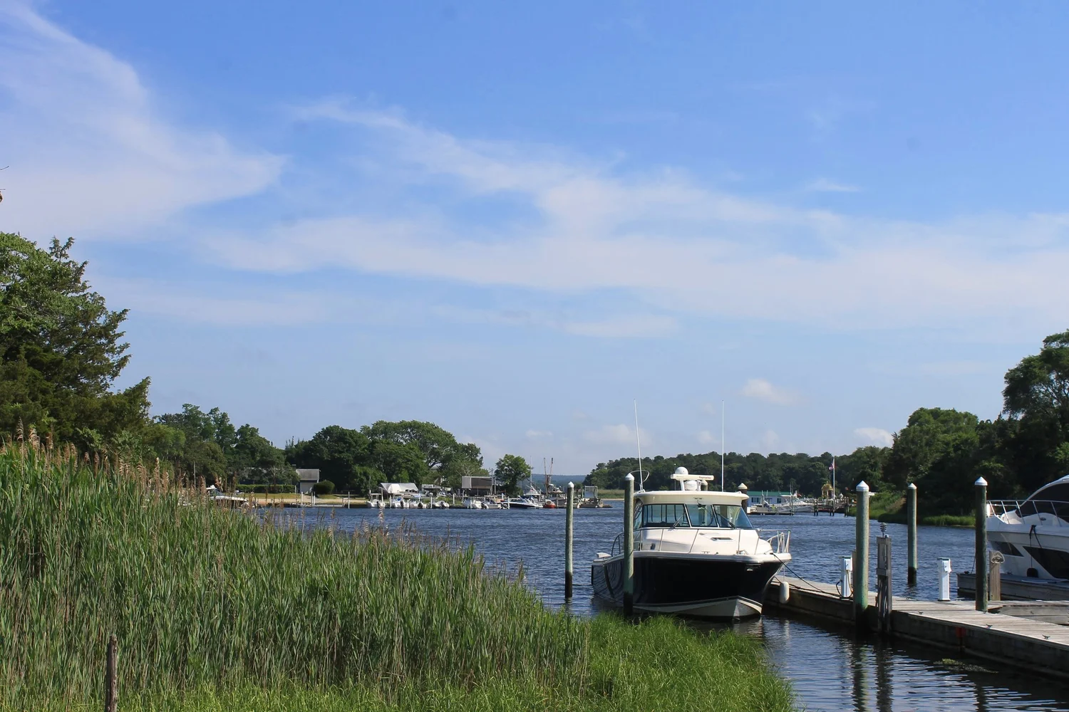On The Docks | Experience Waterfront Dining Today