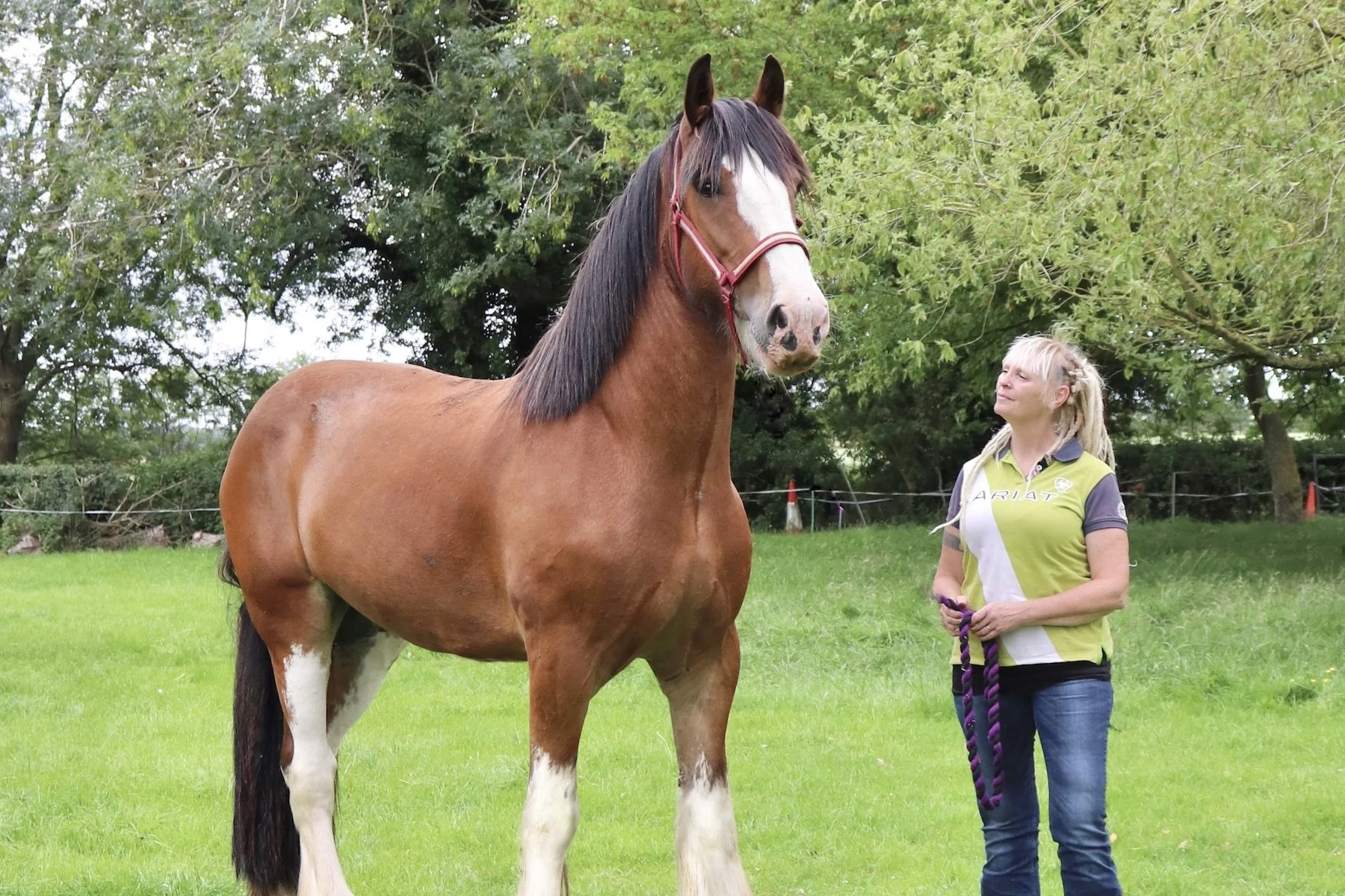 Your donation can change the lives of our animals in need. Support our ...