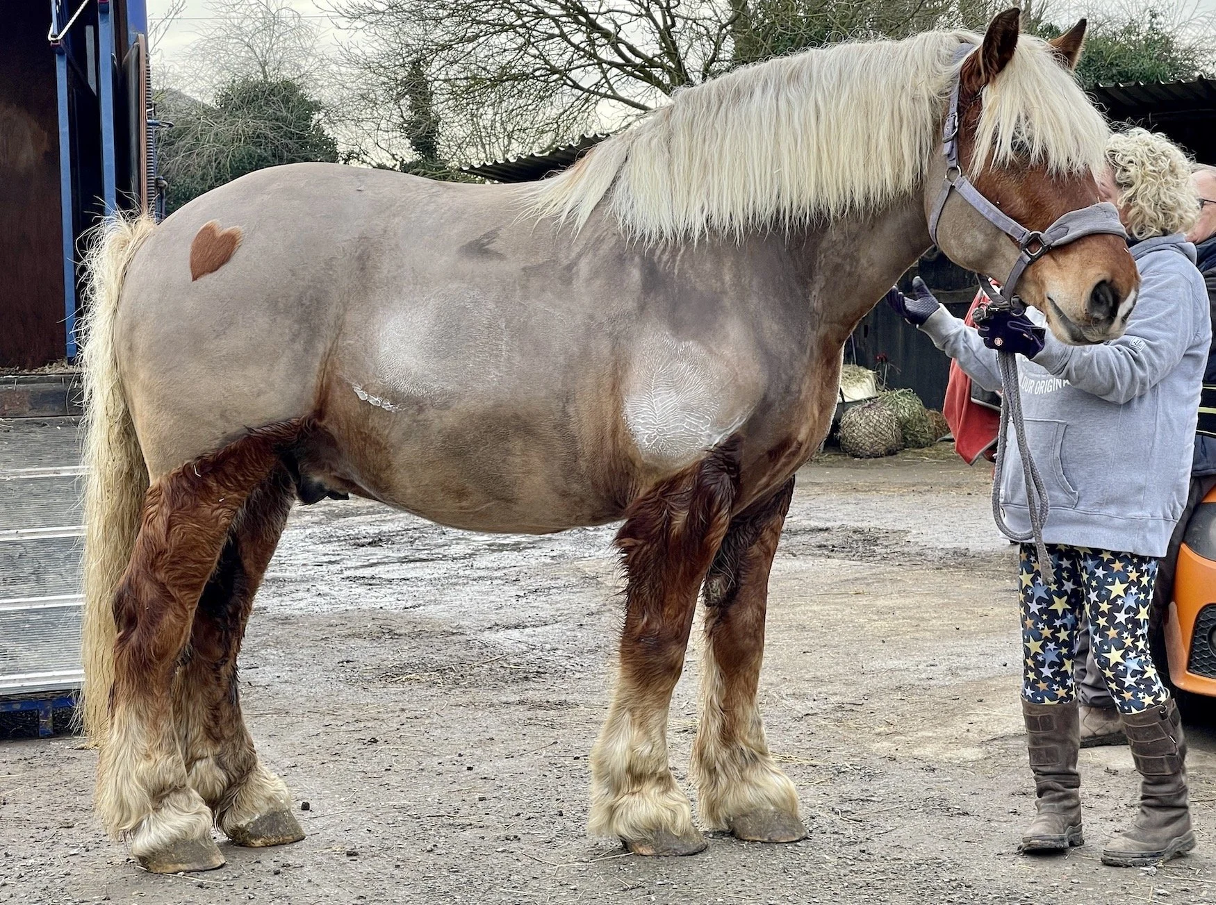 Your donation can change the lives of our animals in need. Support our ...