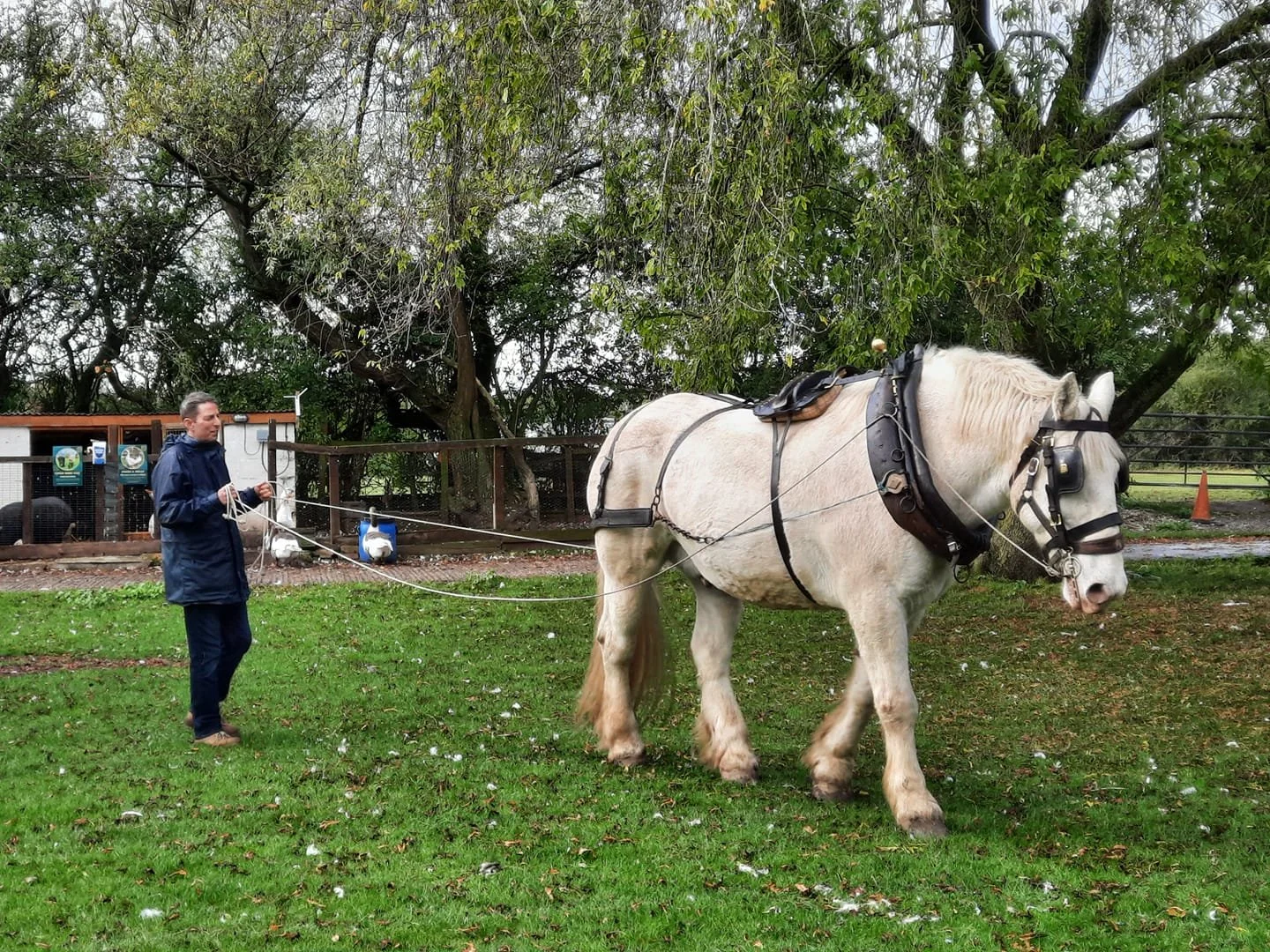 Visit Our Animals For Unique Animal Handling Experiences | Northcote ...
