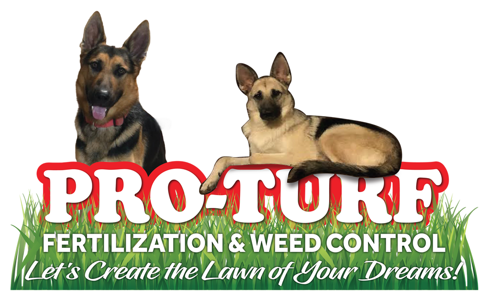 Pro-Turf | Lawn and grass services Kokomo, Indiana